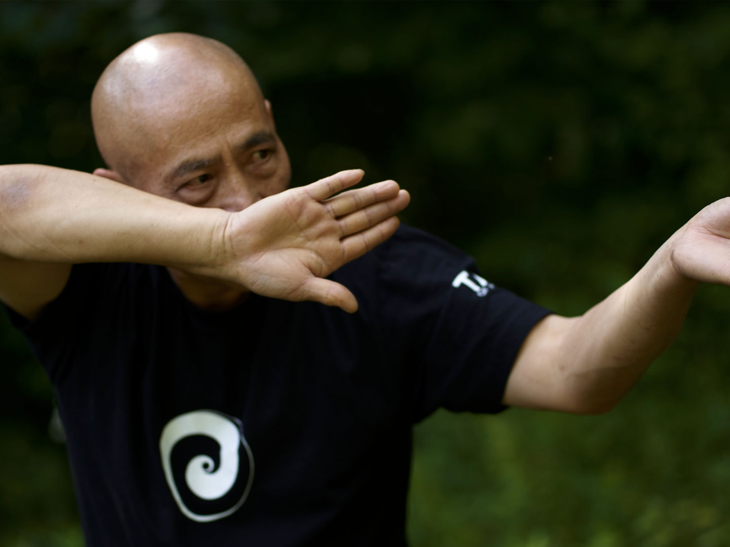 Video Library - Grand Master Nan Lu